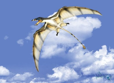 Species New to Science: [Paleontology • 2006] Caviramus schesaplanensis ...