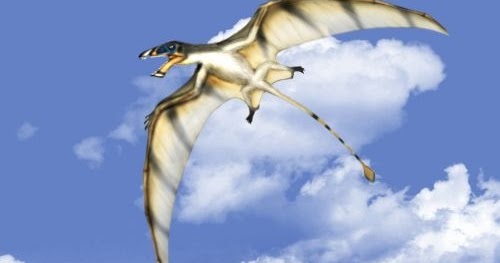 Species New to Science: [Paleontology • 2006] Caviramus schesaplanensis ...