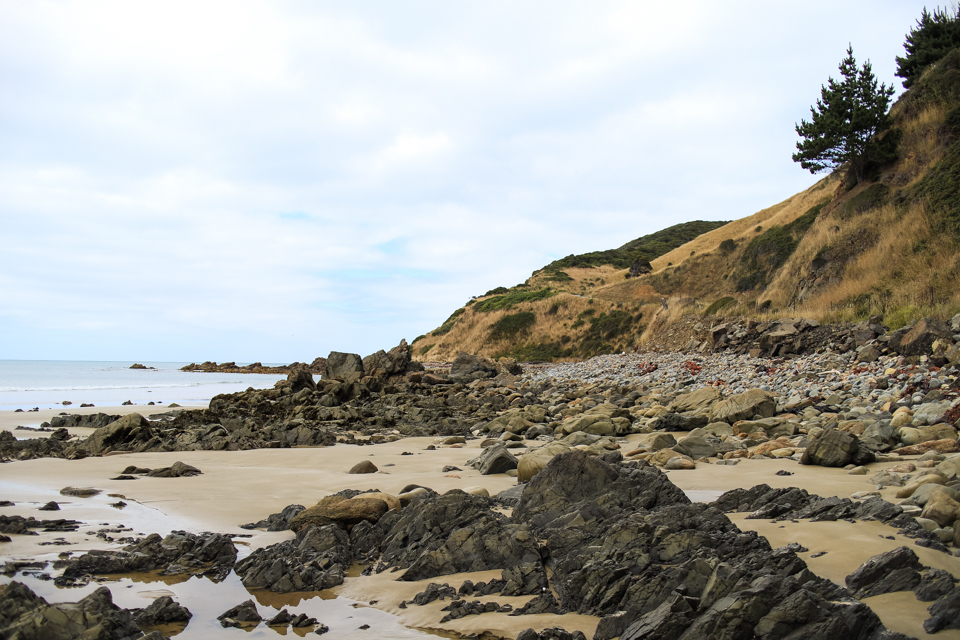 ink + adventure: a picnic at Kaka Point