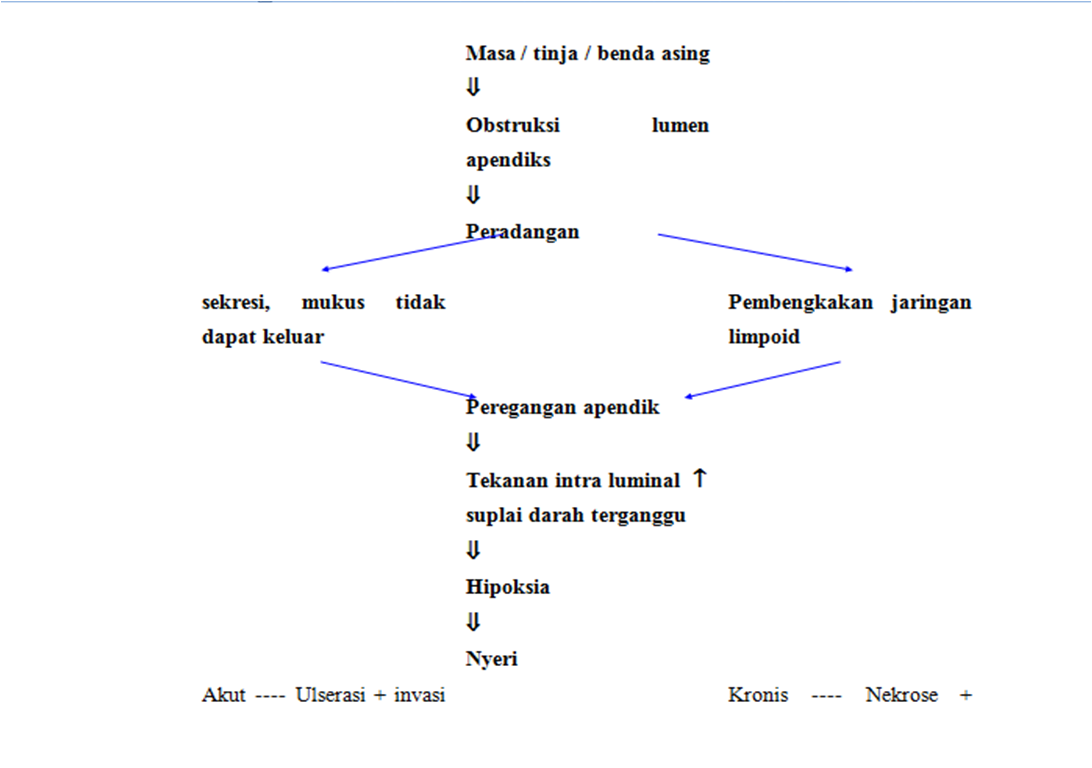 ASUHAN KEPERAWATAN KLIEN DENGAN APENDISITIS ~ Ilmu Keperawatan