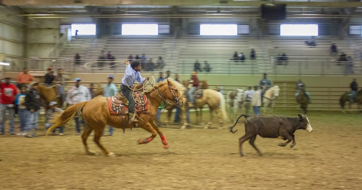 Southern University Ag Center and College of Agriculture: SU Land-Grant ...