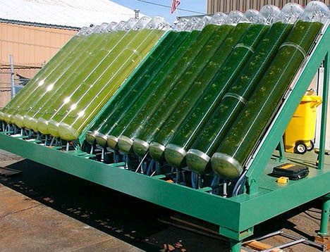 The Bioreactors ~ Free Lecture Notes and Presentations