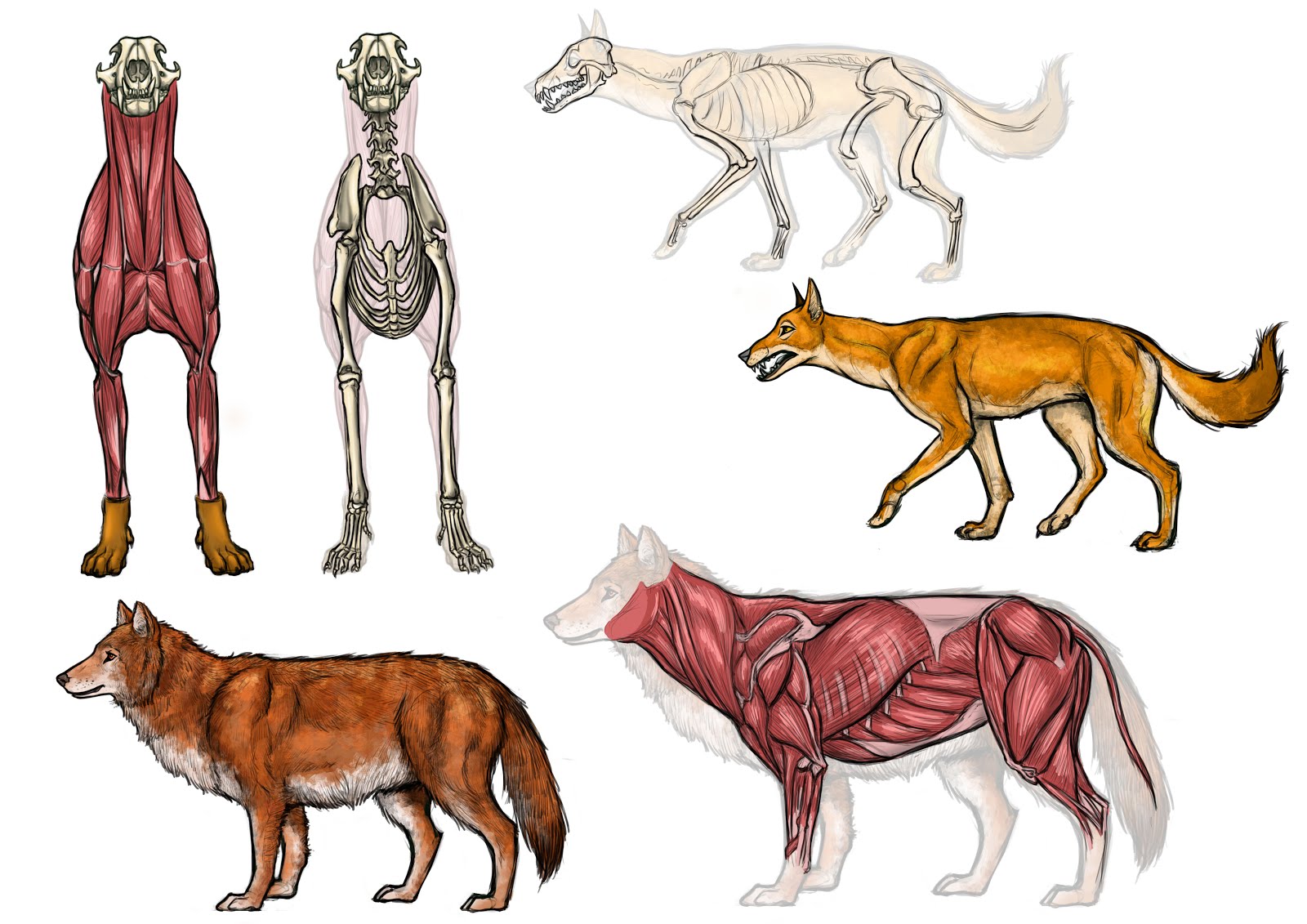 jade robertson animation college daily blogs