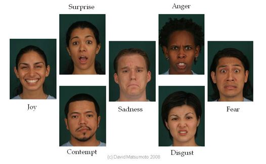 My Blog: Role of facial expressions in social interactions