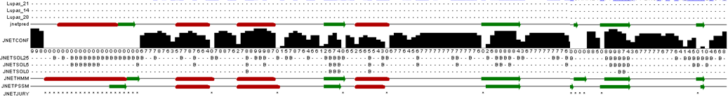 Eosinophil cationic protein - ECP: Estructura de la proteína