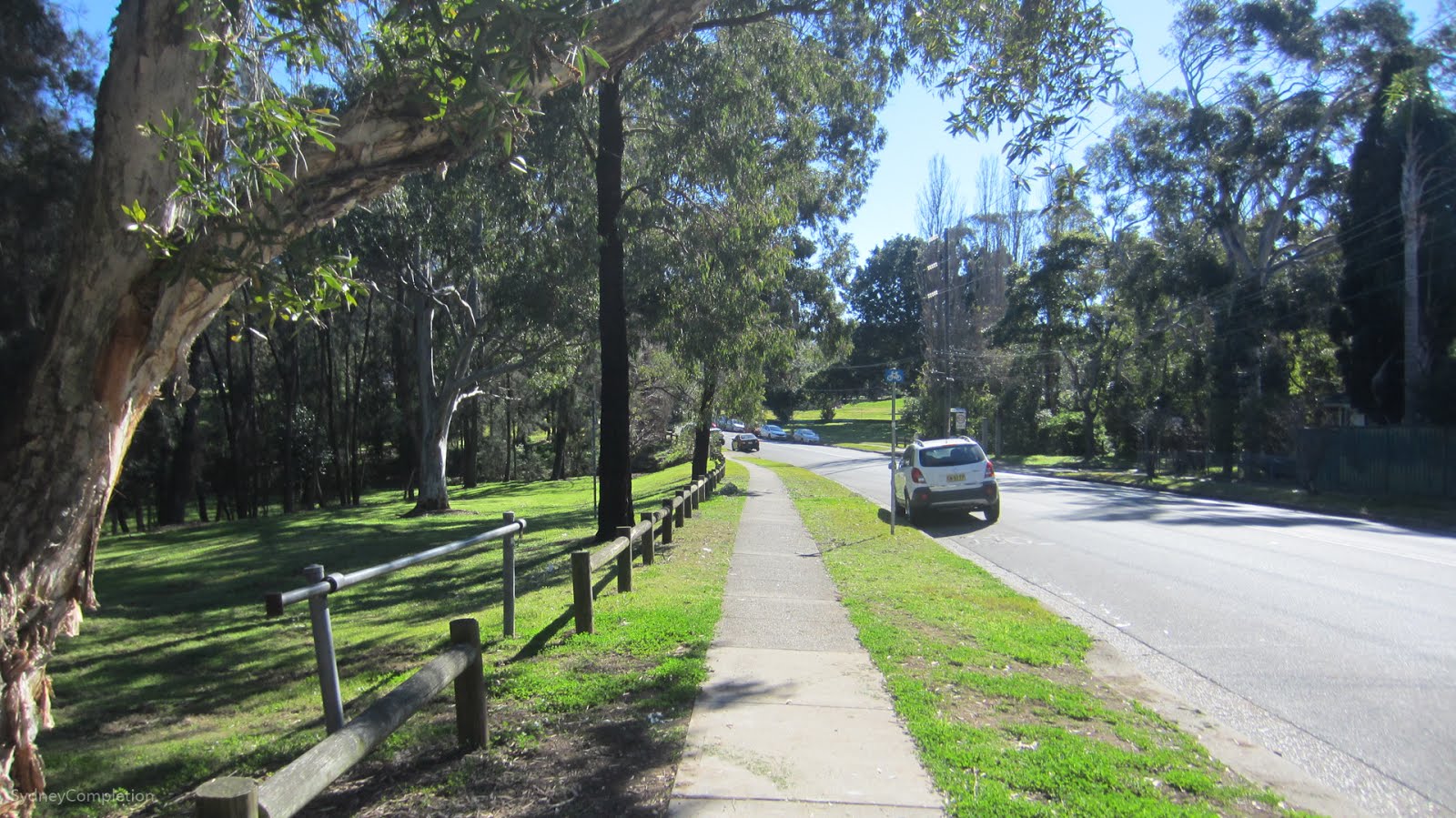 Anniversary Special Stop 6: Telopea - Completing Sydney