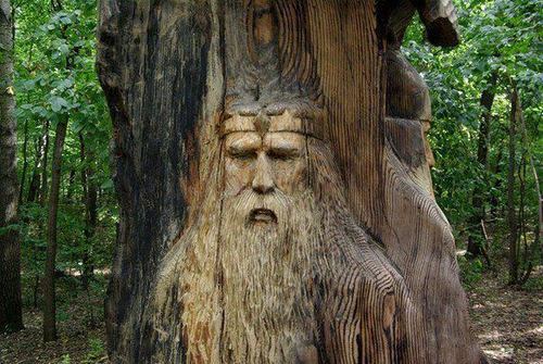 The Oak and the Antler: Father Oak