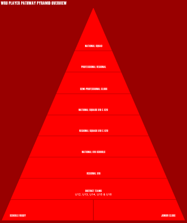 BTEC SPORT: Unit Six - Sports Development