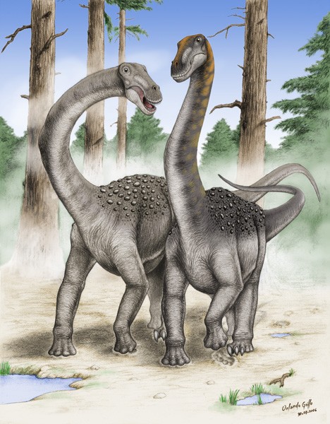 Mundo Pré-Histórico: Maxacalissauro, o popular "Dinoprata"