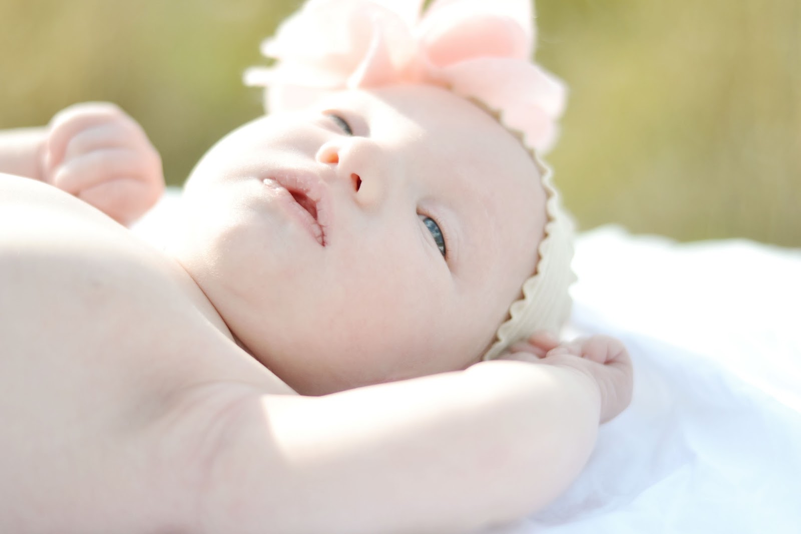 Marvelous Millie: The FULL story...grab a coffee, its a doozy!