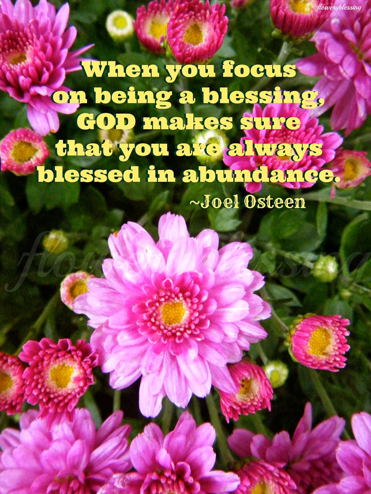 Flowery Blessing: When you focus on being a blessing, GOD makes sure ...