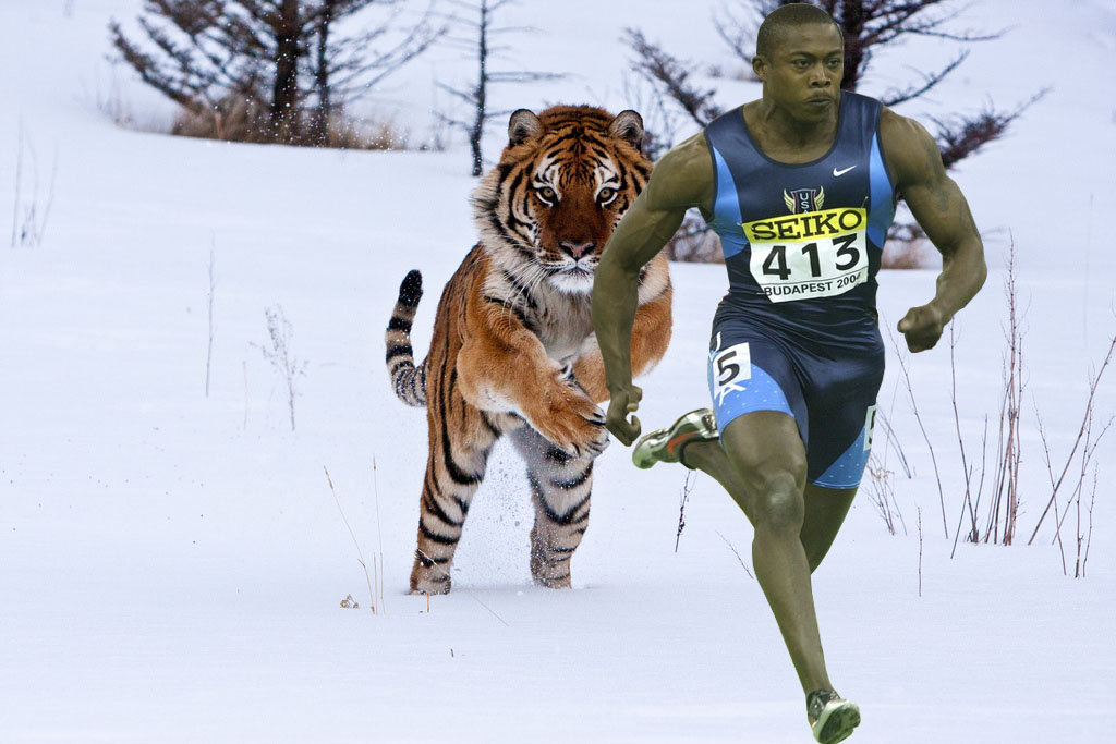 Dylan D. Computer Graphics 3R: Man running from tiger FINISHED