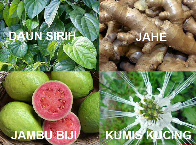 1001 Cara Praktis: Tanaman Herbal Obat Tradisional Untuk Keluarga