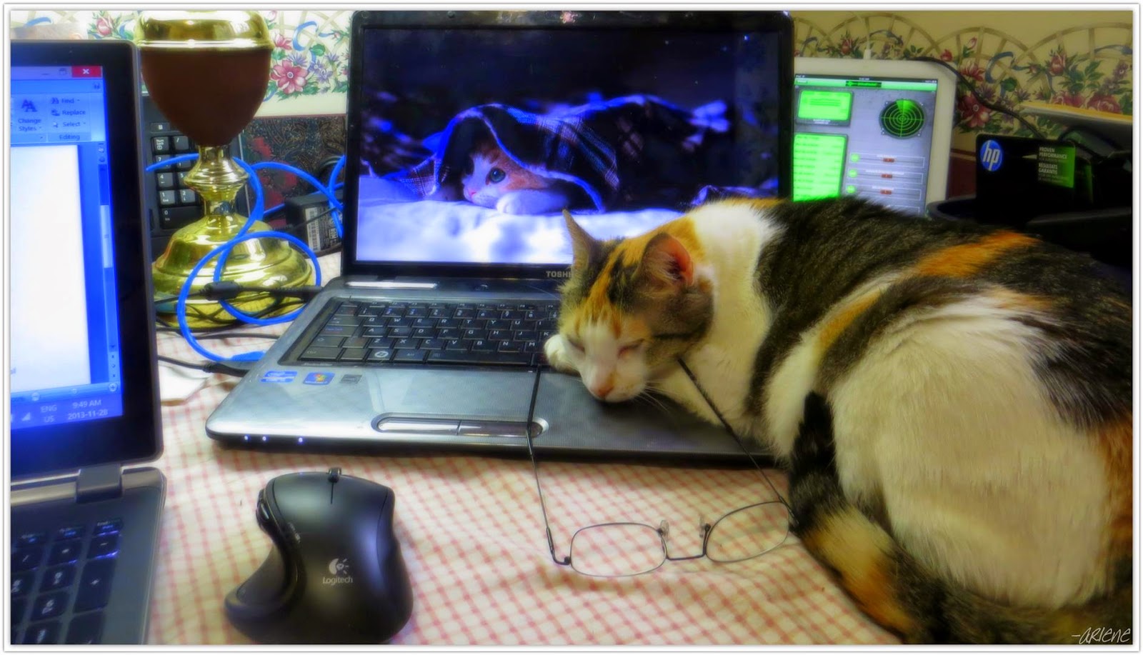 As The Crow Flies: The less people know about 'Paranormal Activity ...