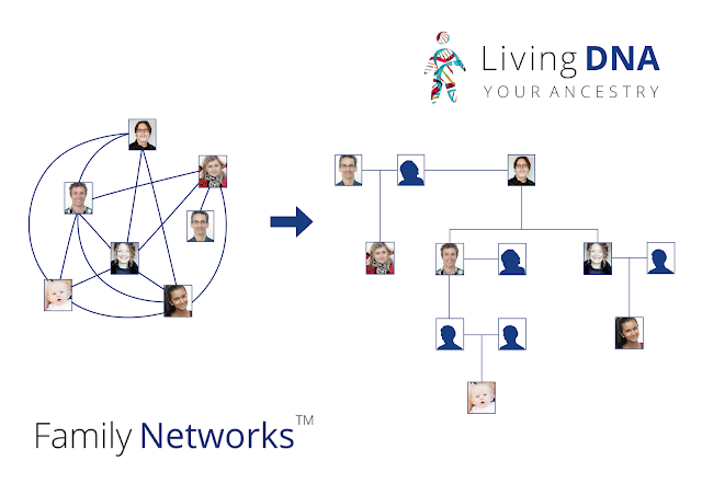 Cruwys news: New Family Networks feature from Living DNA