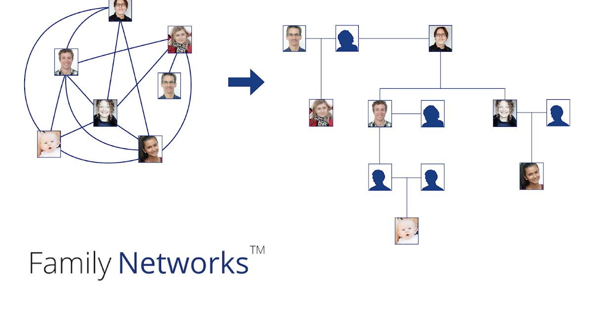 Cruwys news: New Family Networks feature from Living DNA