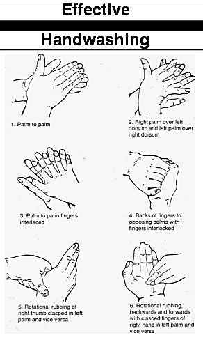 THE BASIC HAND WASHING TECHNIQUES