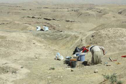 The Archaeobotanist: Archaeobotanist returns