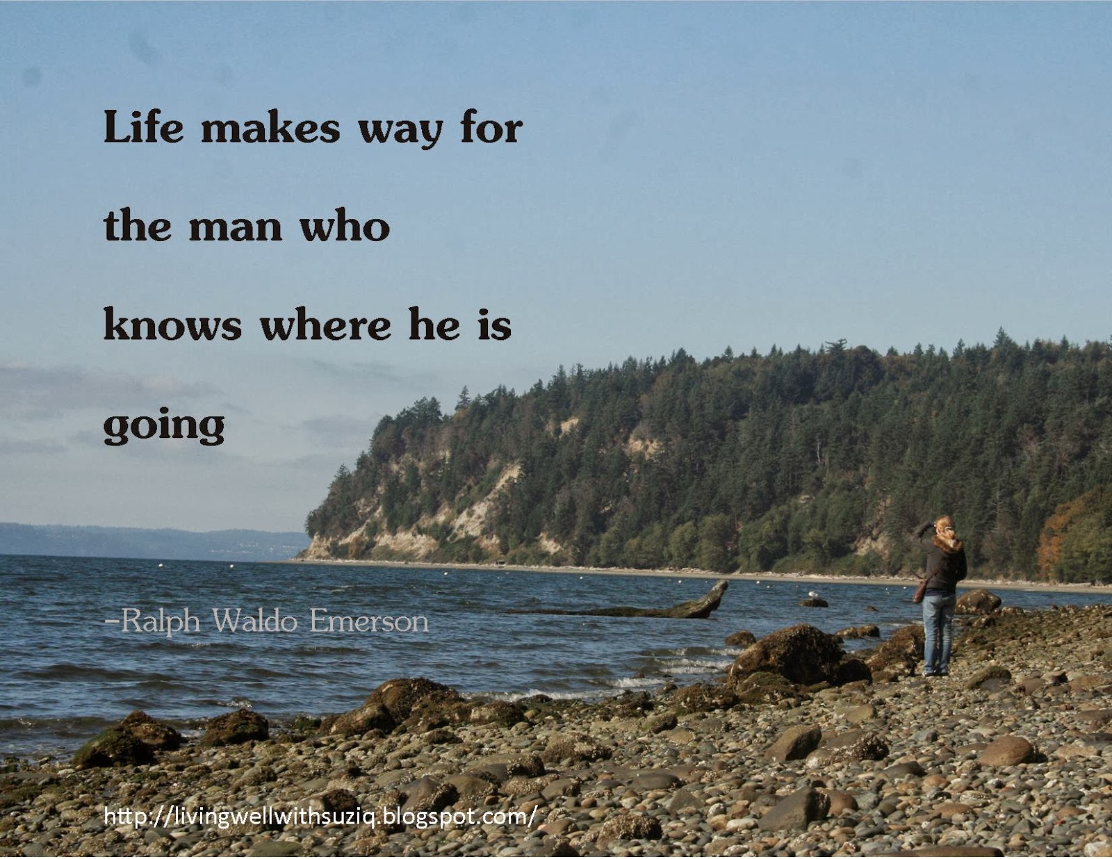 Living Well with SuziQue: Discover Where Your Life is Going