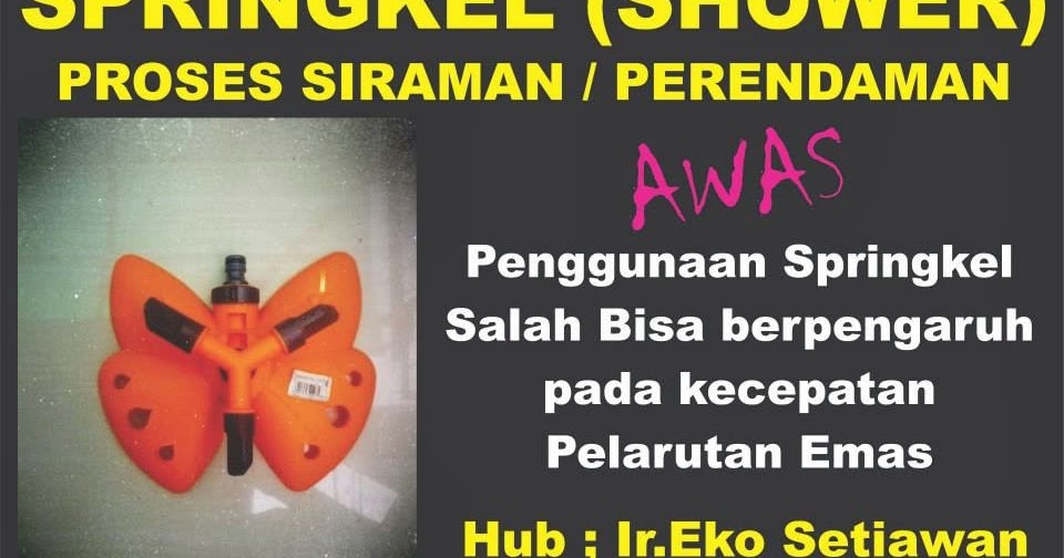 Raja air raksa: SPRINGKEL AIR