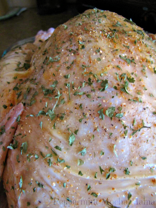 Peppermint Mocha Mama: Awesomeness in chicken forms