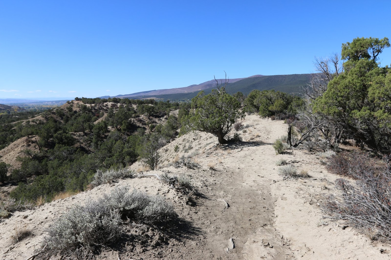 gjhikes.com: Elitches