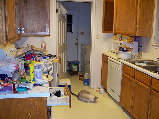 Home Cleaning Services: 11 Dirtiest Areas In Your Home [guest blogger]