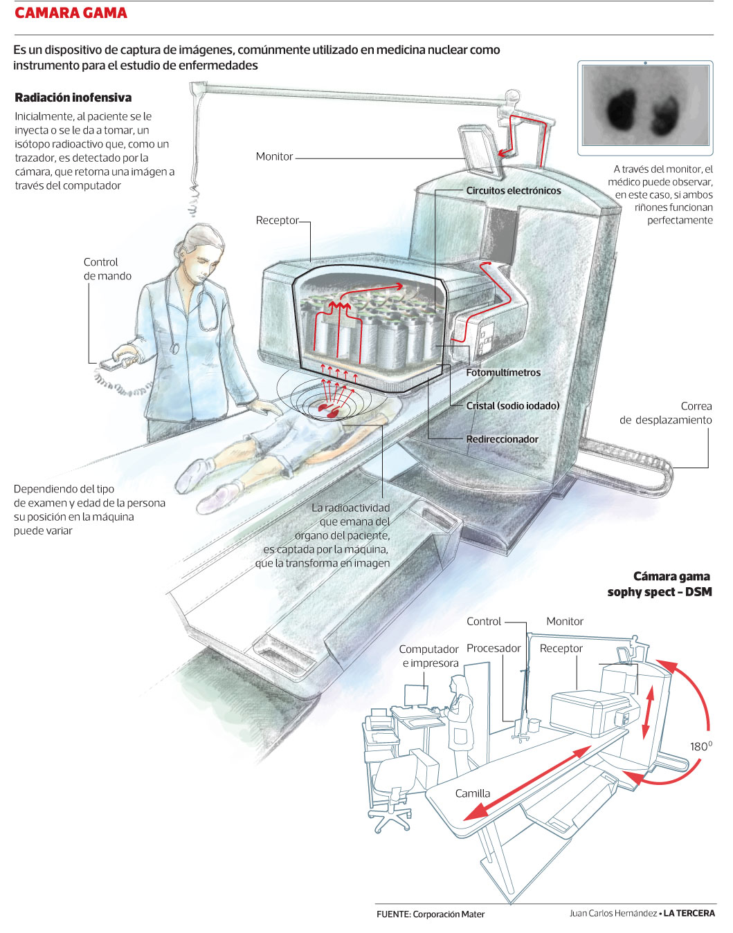 Primer semestre | ideografiko