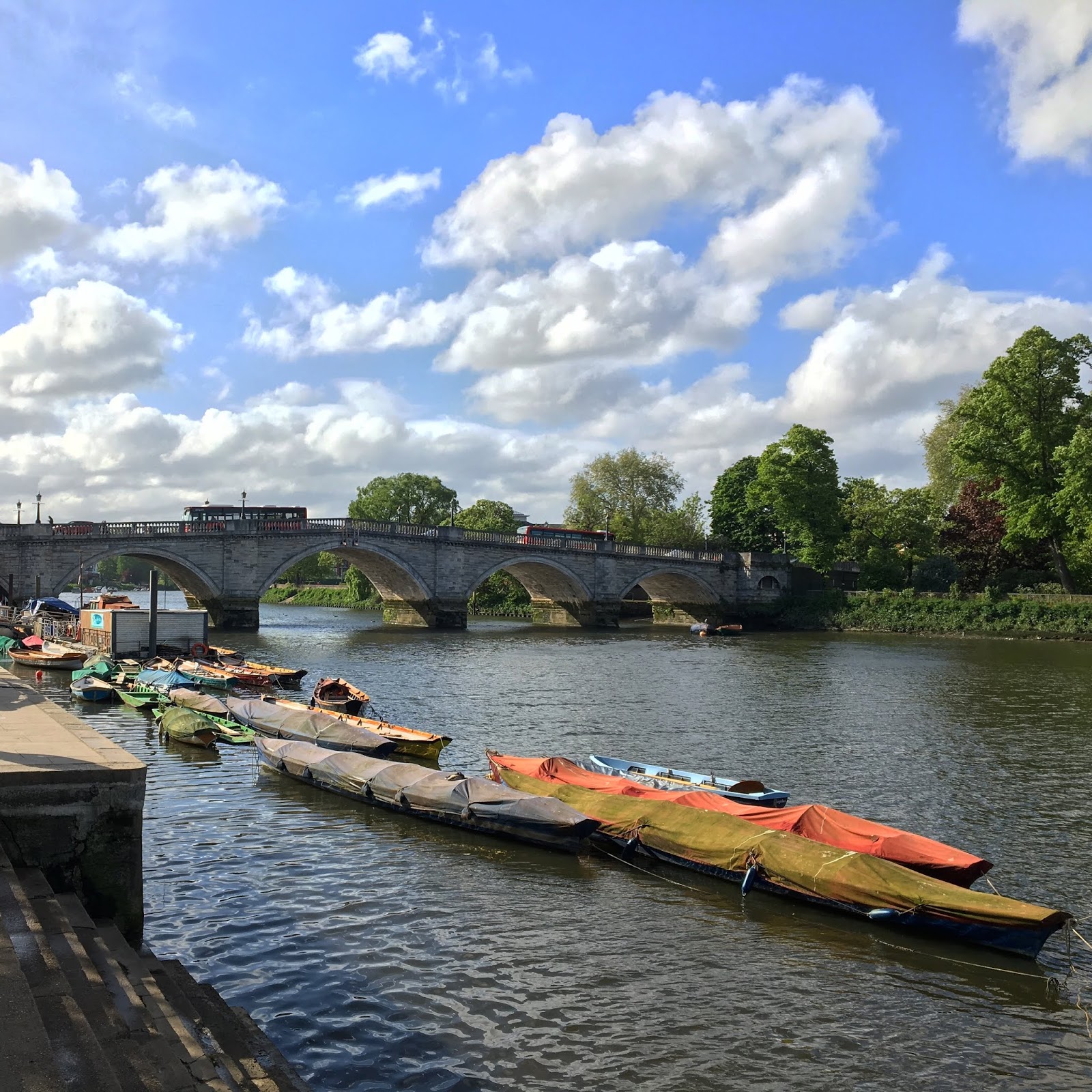 Forward Bipedal Progression: Thames Path 100 Race Report