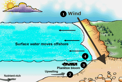 Climate Change and Ocean Stratification: Ocean Stratification