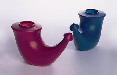 MEDICAL THERAPY AND HERBAL MEDICINE: 10 Ways Natural Sinusitis ...