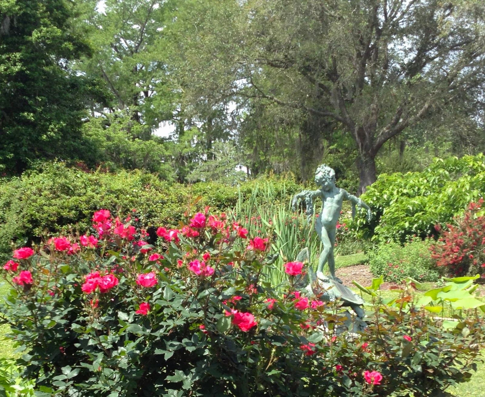Children of the Corm: A Charleston Garden Blog: Brookgreen Garden Tour