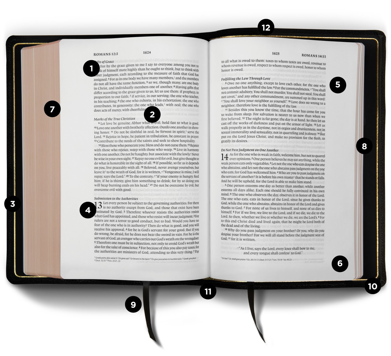 Matthew Dowling: Bible Review: The ESV Preaching Bible from Crossway