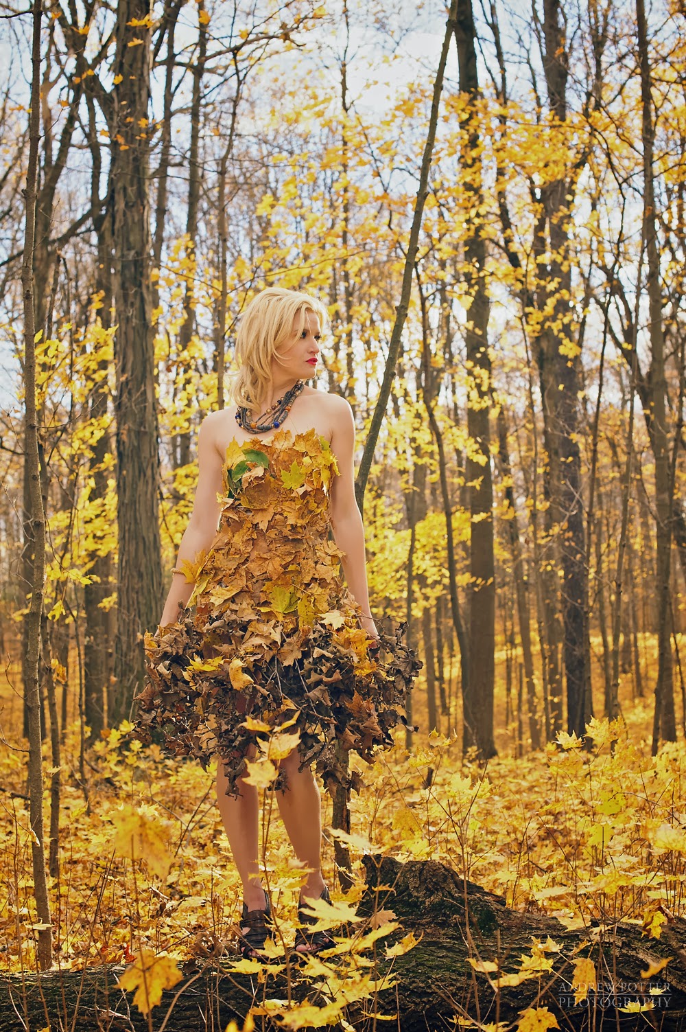 Andrew Potter Photo Blog: Leaf Dress