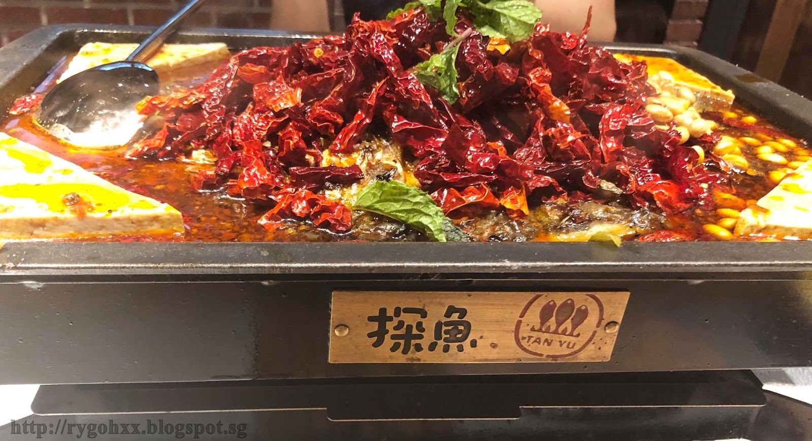 Tan Yu (探鱼) @ Somerset 313 - R.Y GOH