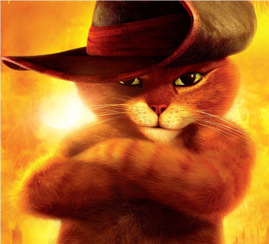 ® Colección de Gifs ®: GATO CON BOTAS