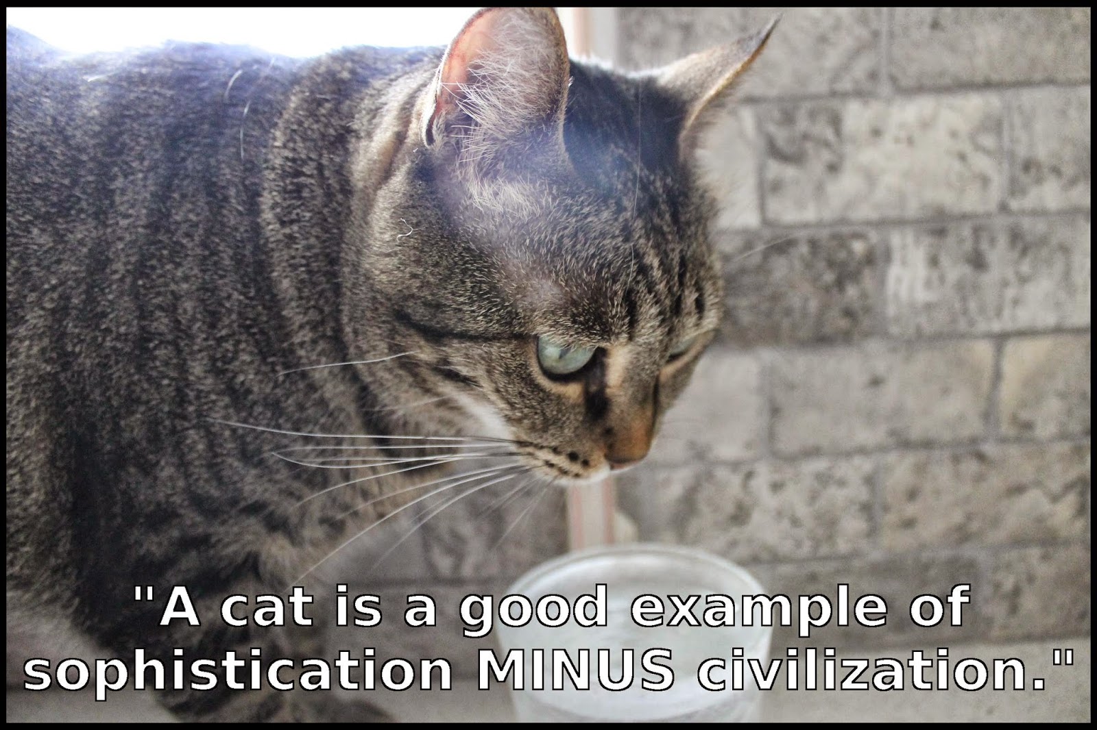 Tangible Online Casino Illusions