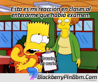 Asi actúo al enterarme que tengo examen..(Foto de humor para el pin ...