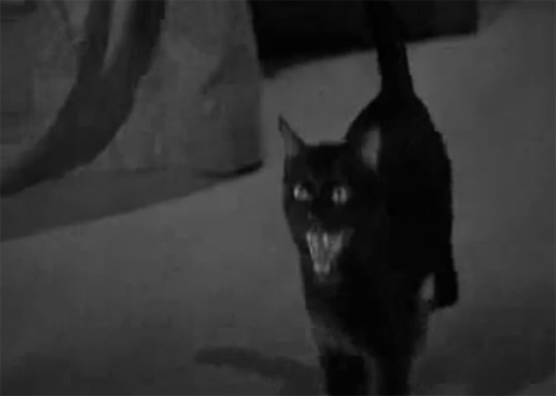 True In One: Jump Scares!