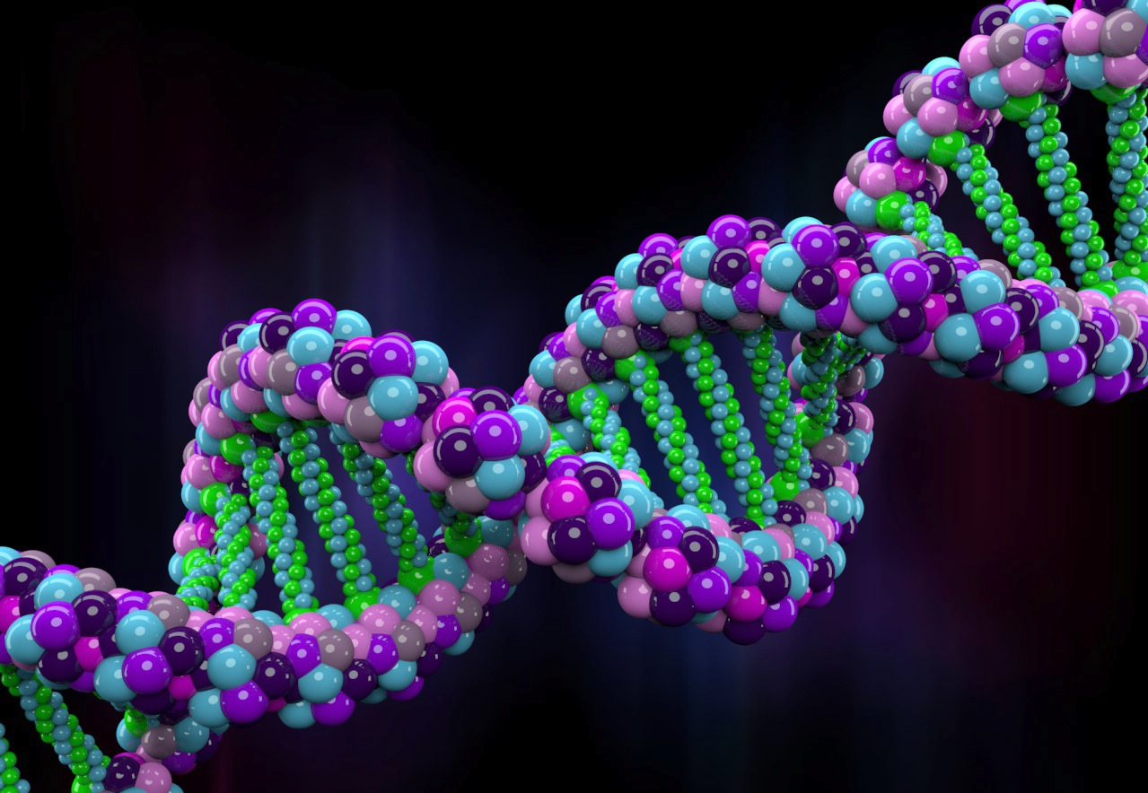 Lerninhalte: Vergleich RNA und DNA