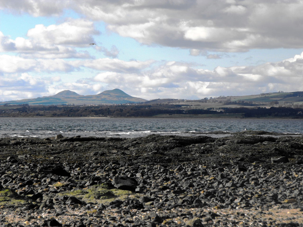 Largo Baywatch: Shell Bay and Ruddons Point