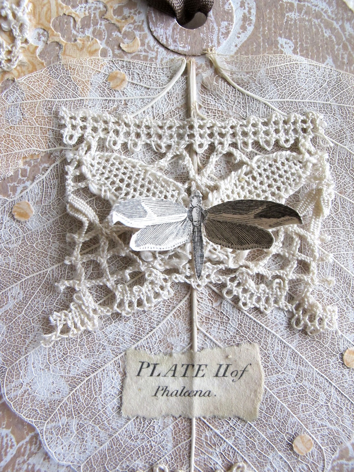 Velvet Moth Studio: February 2012