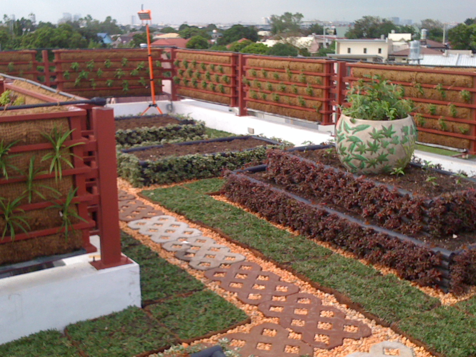HomeAct: Our Rooftop farm and Vertical Garden