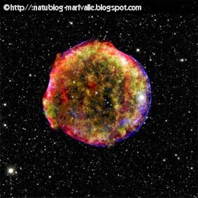 natublog: Las estrellas