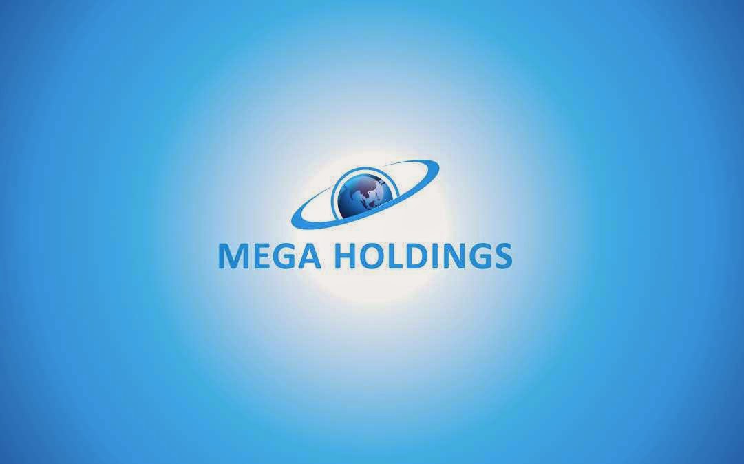 Mega holdings Nedir