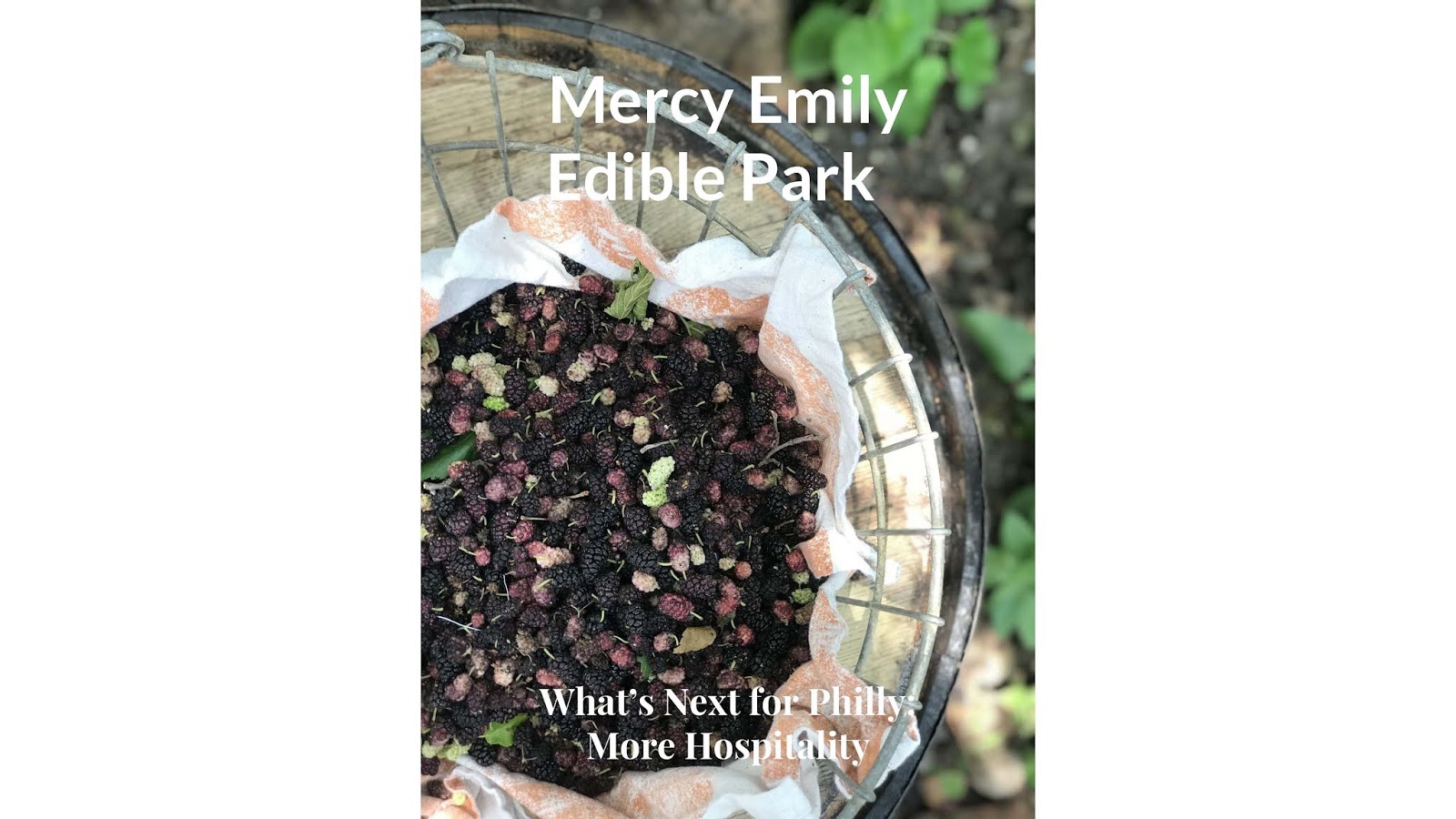 #FastForwardPHL #WhatsNextPHL: Meet Fast Forward Presenters >> Bailie ...