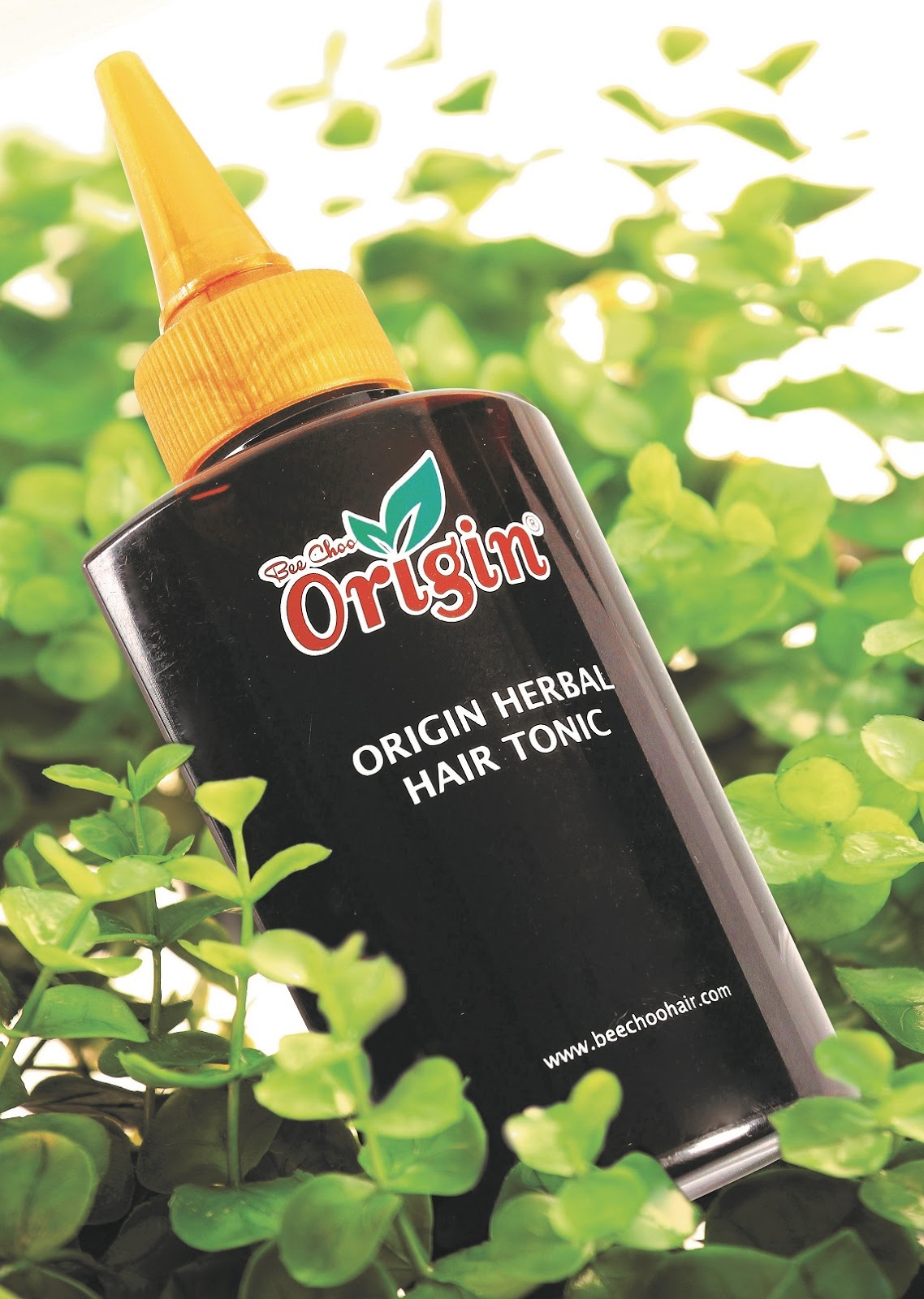 A Bee Choo Treat! - Recycle Bin of a Middle Child