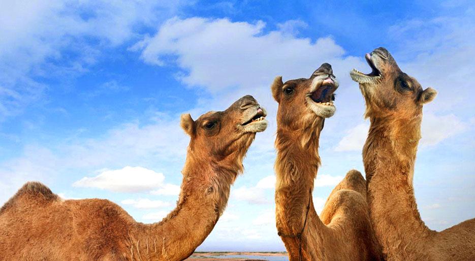 Bilbo's Random Thought Collection: June 2015