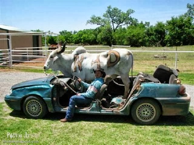 Interesting Drive - Ye Kya Chutiyapa Hai