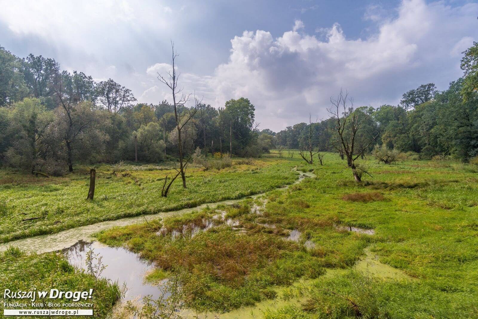 Opolskie na weekend: zamki, pałace i miejsca, które warto zobaczyć.